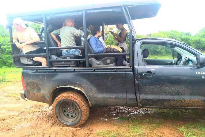 Wilpattu National Park Safari with Pigeon Island Tours - An Introduction to Wilpattu National Park Safari