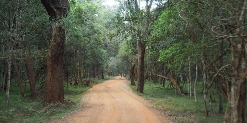 Wilpattu National park with Safari jeep & Entrance ticket - FAQ