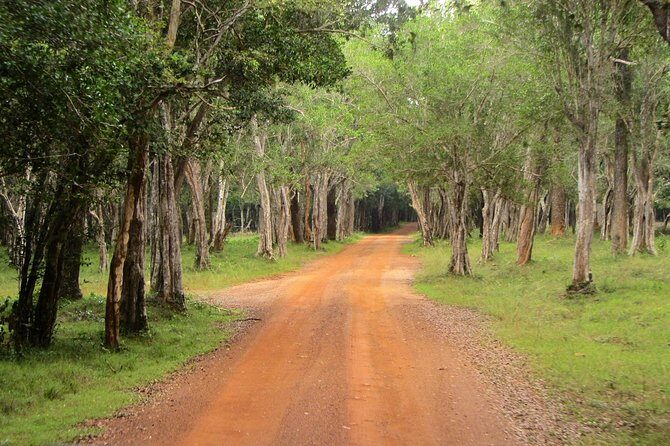Wilpattu Safari Drive From Trincomalee, Nilaveli & Suburbs - Final Thoughts: Is This Safari Worth It?