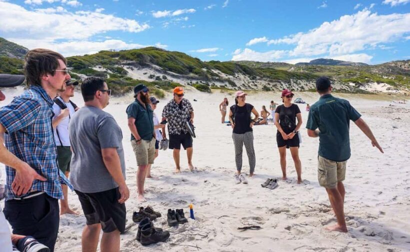 Wilson's Promontory National Park Day Tour From Melbourne - What to Expect: A Detailed Itinerary Breakdown
