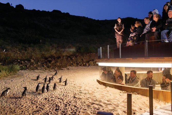 Wilson's Promontory & Phillip Island - 'Prom & Penguins' Tour - FAQ