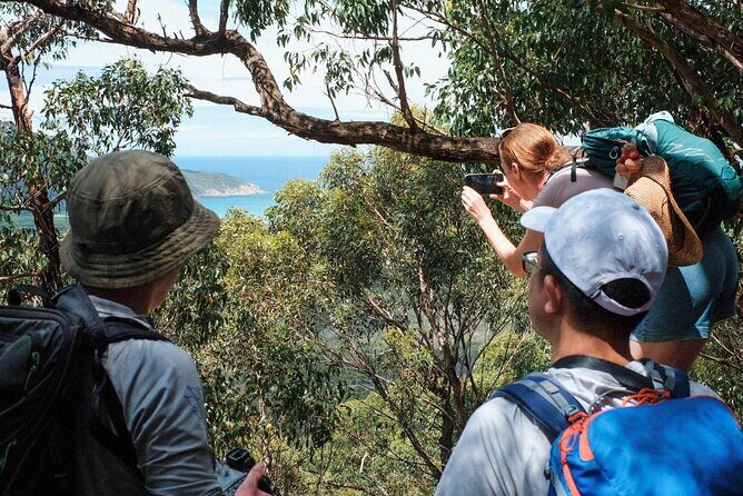 Wilson's Promontory Small Group Eco Tour from Melbourne - Final Thoughts