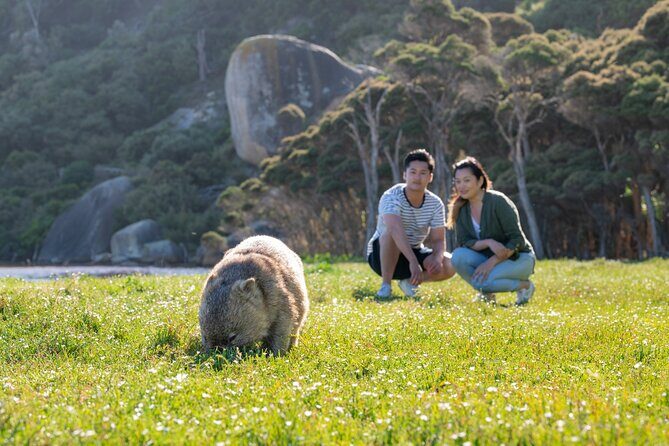 Wilsons Promontory Wilderness Day Tour - Who Will Love This Tour?