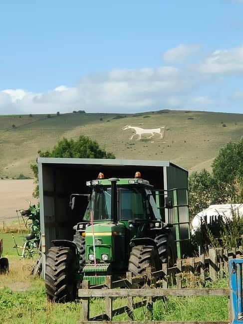 Wiltshire: Mystical and Dragons Guided Driving Tour - The Authentic Experience