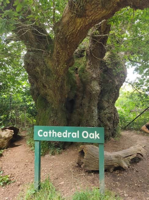 Wiltshire: Mystical and Dragons Guided Driving Tour - Practical Tips