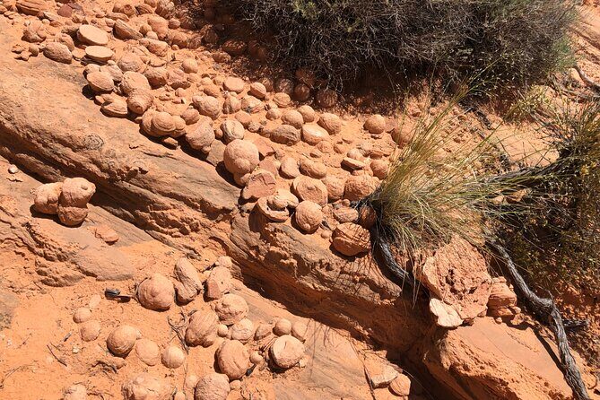 Wind Pebble Canyon Partial Hiking tour through Antelope Canyon - Concluding Thoughts: Who Will Love This Tour?