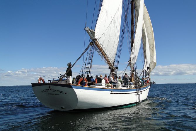 Windjammer Classic Day Sail from Camden, Maine - Departure Point and Logistics