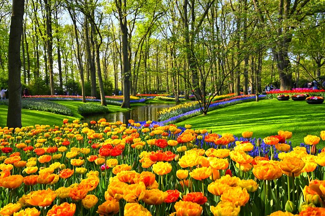 Windmills, Marken, Volendam Plus Guided Keukenhof Visit - Accessibility and Weather Considerations