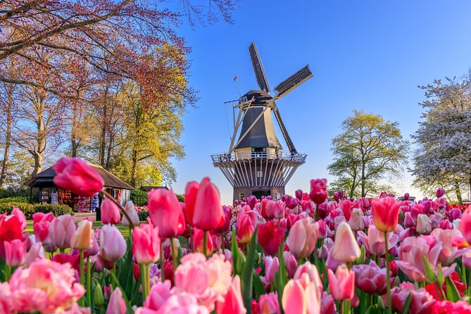 Windmills, Marken, Volendam Plus Guided Keukenhof Visit - Tour Capacity and Cancellation Policy