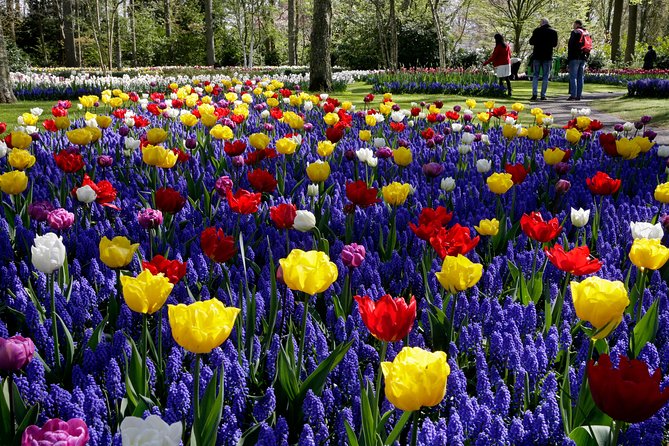 Windmills, Marken, Volendam Plus Guided Keukenhof Visit - Positive Traveler Experiences