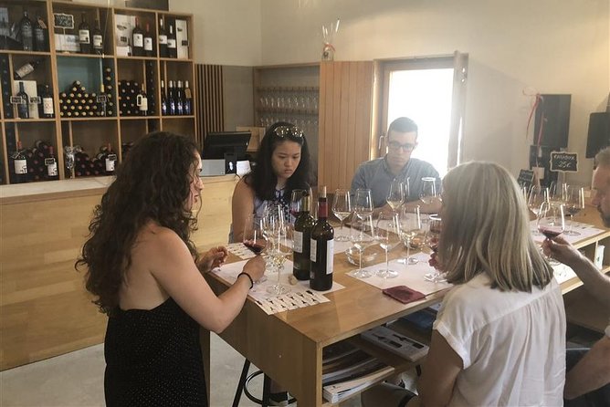 Windmills of Don Quixote Wine Tour & Tasting From Madrid - Wine Tasting at a Local Vineyard