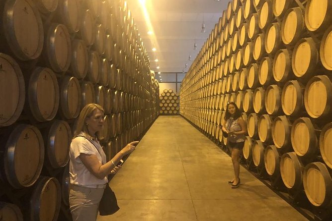 Windmills of Don Quixote Wine Tour & Tasting From Madrid - Traveler Experiences and Feedback