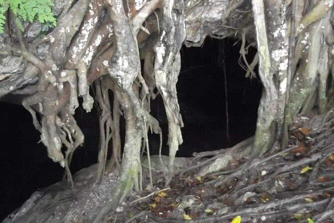 Window Cave Walking Tour from San Juan - The Sum Up: Is This Tour Worth Your Time?