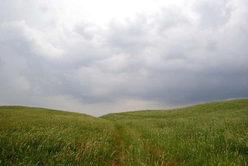 Windows Desktop Theme - Poppy Fields from Tashkent - Key Points