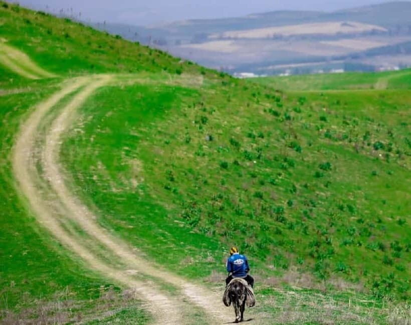 Windows Desktop Theme - Poppy Fields from Tashkent - Who Will Love This Tour?