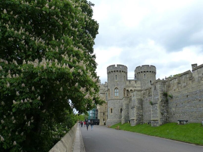 Windsor Castle Hampton Court Palace Private Tour with Pass - The Sum Up