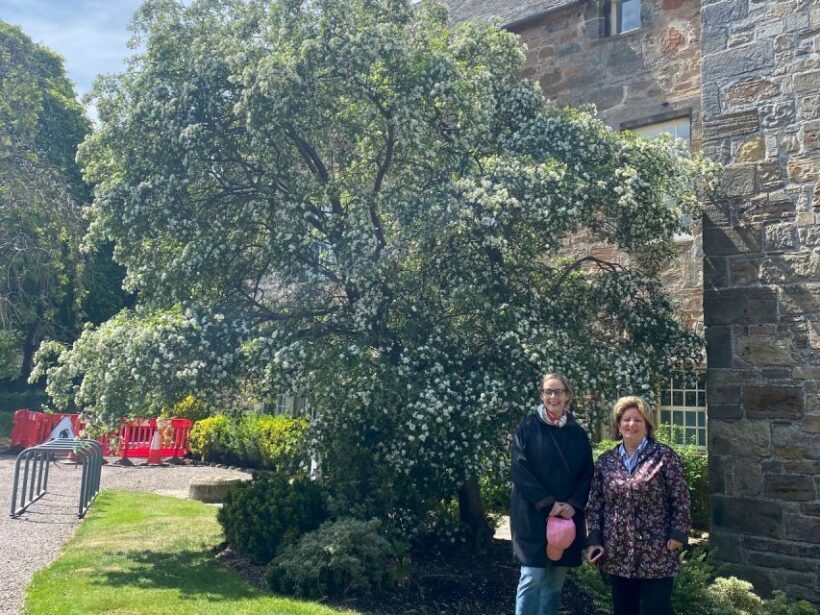 Windsor: Private Town-Walking Tour - FAQ