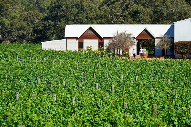 Wine 101- Wine Education Classes - The Optional Lunch: A Perfect Finish
