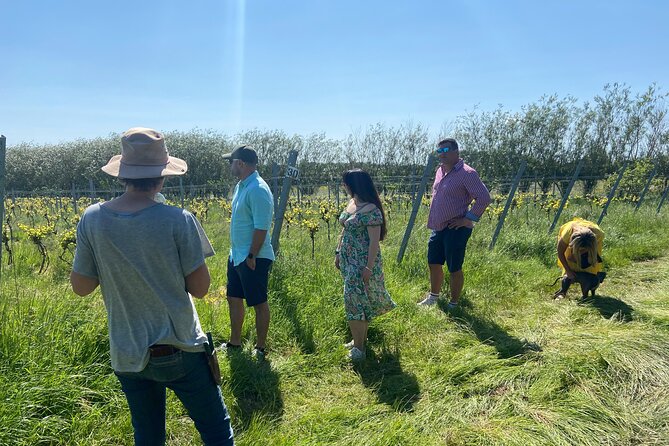 Wine and Cheese Tasting Tour in Cheddar Valley - Frequently Asked Questions