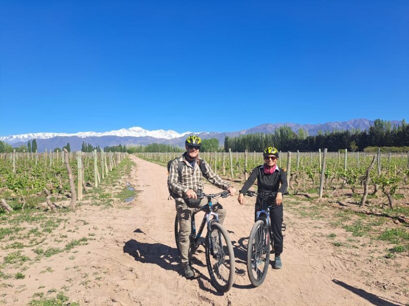 Wine and Chocolate Bike Tour: ride, taste, lunch, vineyards. - Authentic Touches and Traveler Feedback
