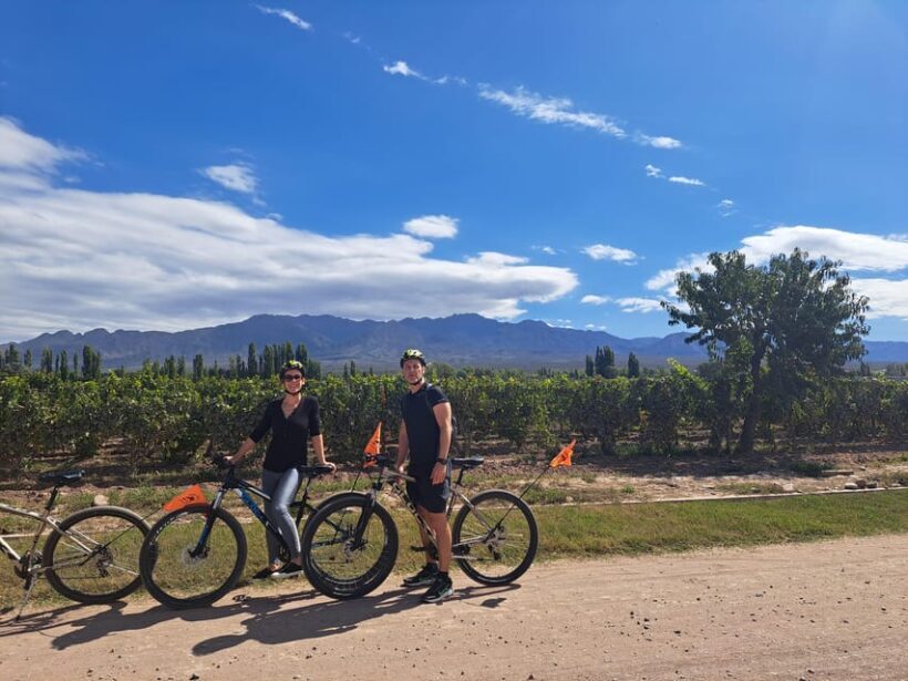 Wine and Chocolate Bike Tour: ride, taste, lunch, vineyards. - The Sum Up