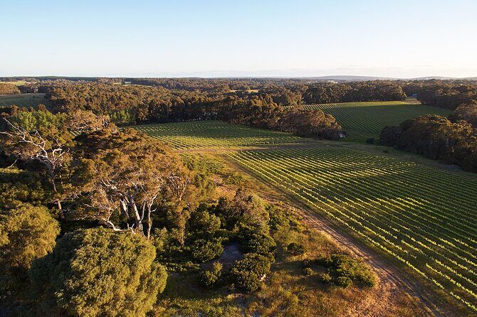 Wine and Chocolate Bonbon Tasting in Margaret River - Discovering the Passel Estate Tasting Room