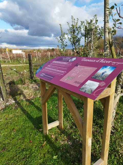 Wine and Chocolate experience - Who Will Love This Experience?