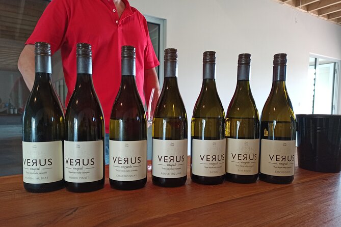 Wine and Culinary Adventure in Jeruzalem - Full Day Tour from Ljubljana or Ptuj - Visiting Boutique Wineries