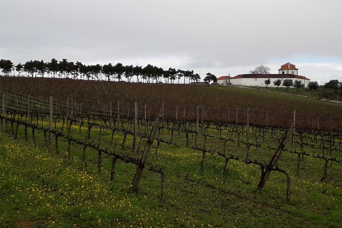 Wine and Dine - FAQs