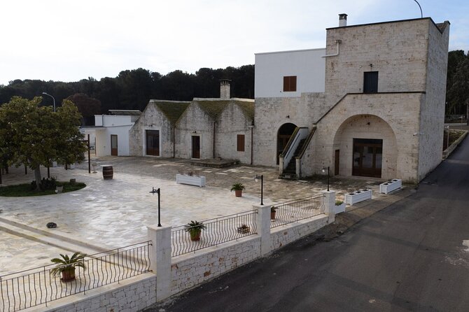 Wine and Food Pairing Experience at Alberobello Winery - Key Points