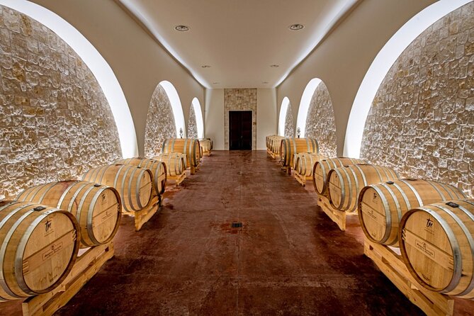 Wine and Food Pairing Experience at Alberobello Winery - The Experience in Context