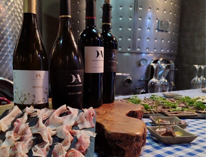 Wine and Food Pairing Tasting Las dos Antiguas- Bodega Artesanal Segovia - An Authentic Look at a Small-Scale Winemaking Operation