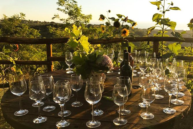 Wine and food tasting - Discovering a Hidden Gem: A Review of the Calabrian Wine and Food Tasting Tour