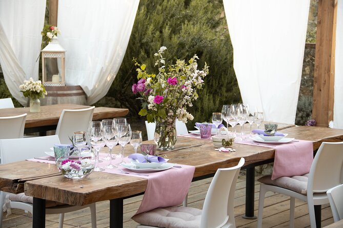 Wine and Food Tasting in an Organic Family Winery - Reviews and Guest Experiences