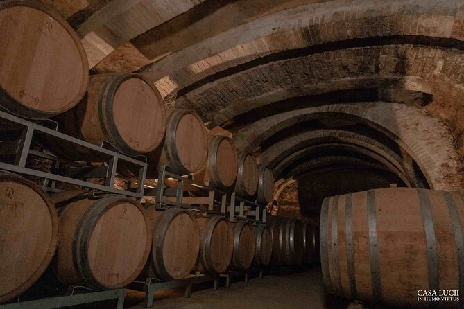 Wine and Food Tasting in an Organic Family Winery - The Organic Farming Approach