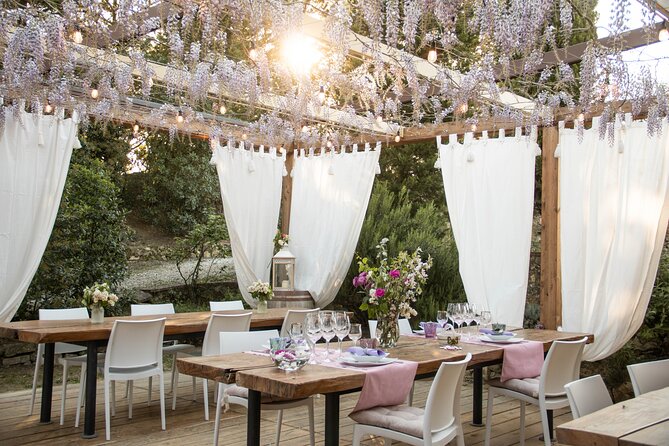 Wine and Food Tasting in an Organic Family Winery - Planning Your Visit to San Gimignano