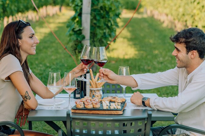 Wine and Food Tasting in the Vineyards in Lazise - Key Points