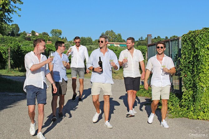 Wine and Food Tasting in the Vineyards in Lazise - Customization for Special Events