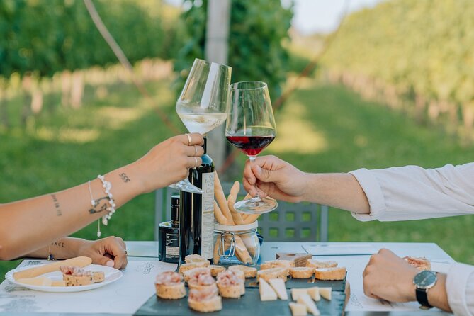 Wine and Food Tasting in the Vineyards in Lazise - Guest Experiences and Feedback