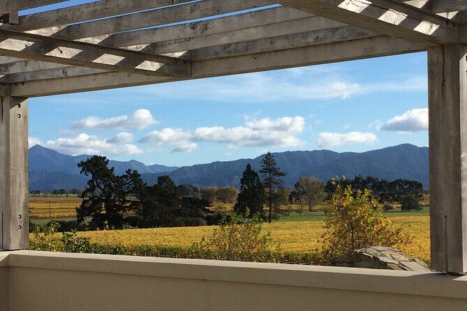 Wine and Gourmet Picnic Experience of Marlborough - A Close Look at the Itinerary