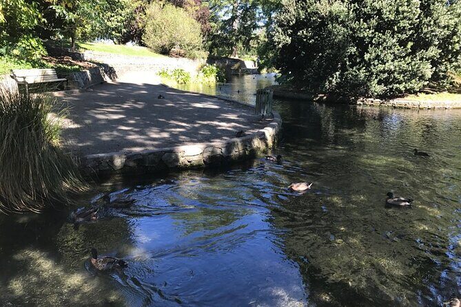 Wine and Gourmet Picnic Experience of Marlborough - Value and Practical Considerations