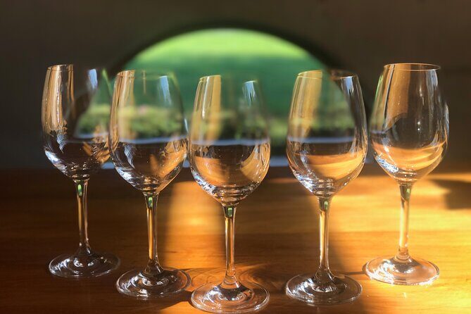 Wine and Gourmet Picnic Experience of Marlborough - Final Thoughts