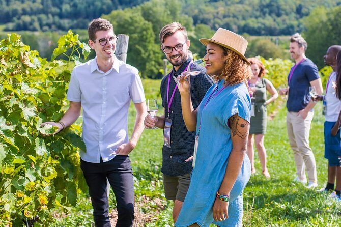 Wine and Lunch Escape - A Detailed Look at the Wine and Lunch Escape Tour