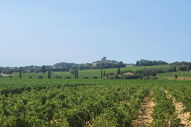 Wine and Romans - Gordanas Expertise: Enhancing the Experience