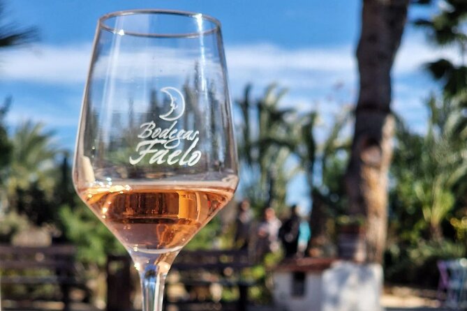 Wine and Tapas Tasting Tour from Alicante, Private Van - Who Should Consider This Tour?