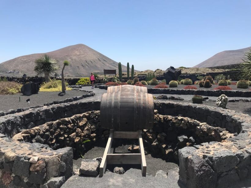 Wine and volcan private tour - FAQs