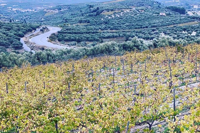 Wine at Stylianou Winery: An Exquisite Tasting Experience - Unveiling the Winemaking Process