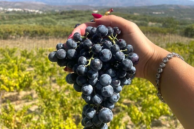 Wine at Stylianou Winery: An Exquisite Tasting Experience - Savoring the Unique Grape Varieties