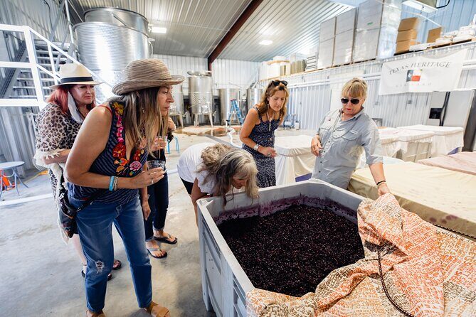 Wine, Brew and Spirits Tasting with lunch included - Key Points