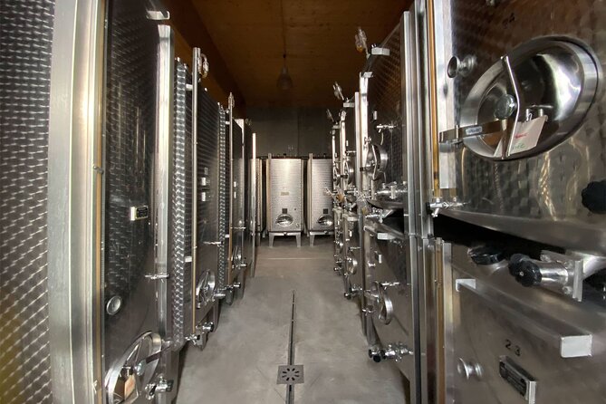 Wine cellar visit & tasting of organic Alsace wines - The Tasting Experience